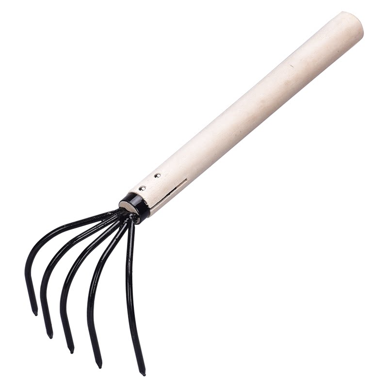 Seafood Digging Tools at the Beach - Shells, Clams, Oysters, Crabs ...