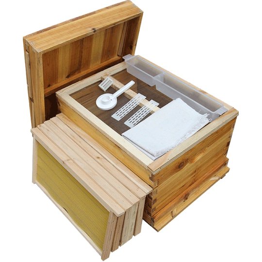 Juego completo de cajas de abejas con base de nido enmarcada, colmena ...