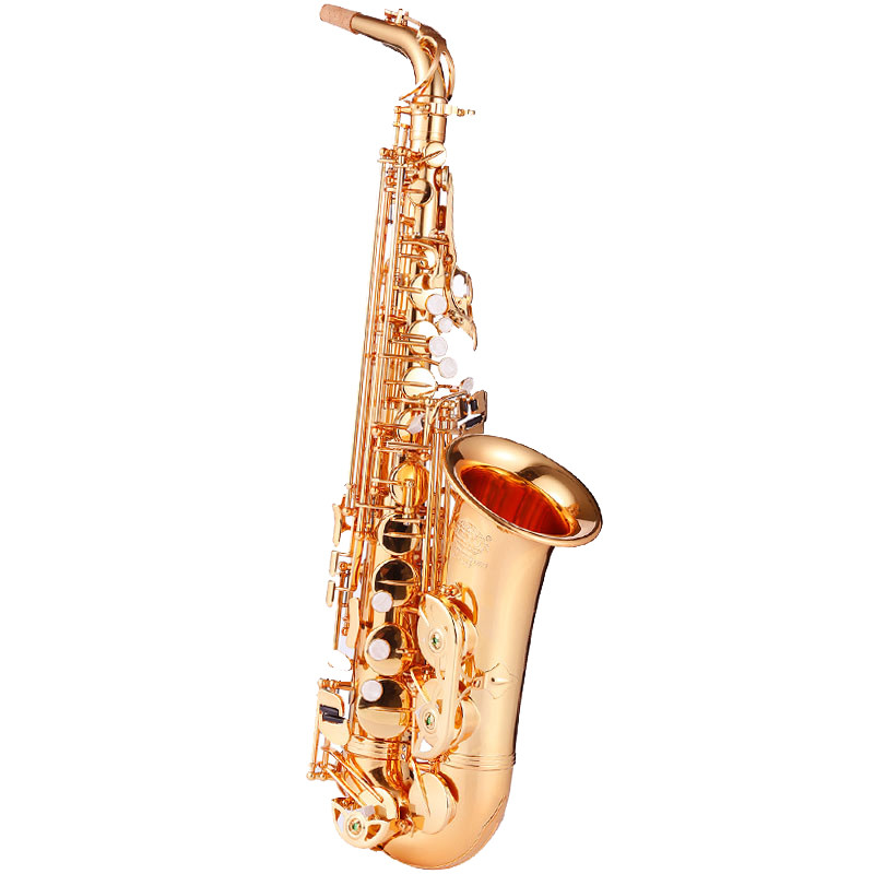 Taiwan Salter Alto Saxophone for Beginners and Professionals