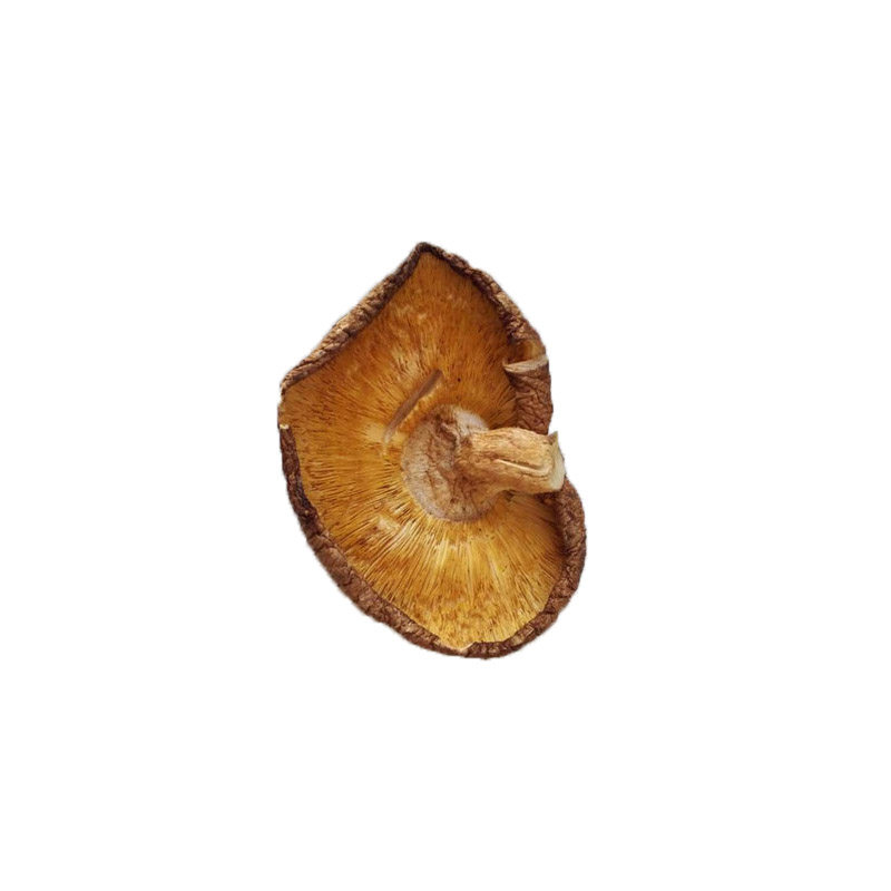 Champignons Shiitake séchés Mr. Xiang 5kg - Produits secs, Province du ...