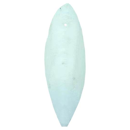 Papagal, oase de sepie, supliment de calciu, molari, piele de tigru ...