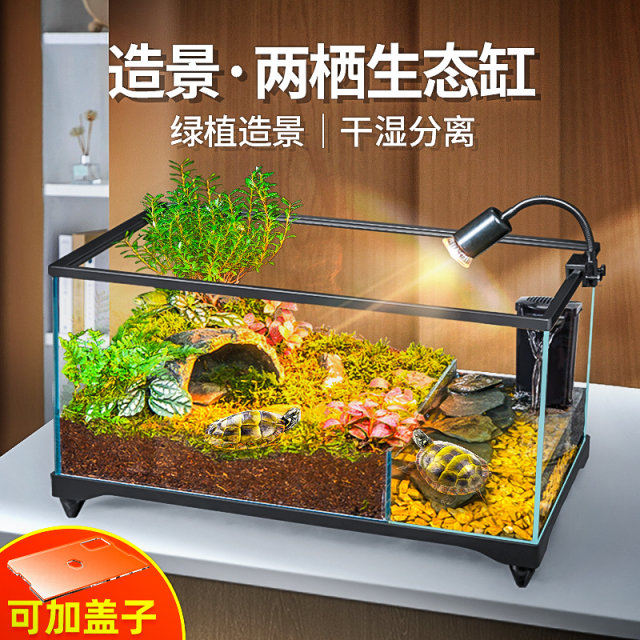 Turtle tank ecological landscaping home bottom row ultra -white glass ...