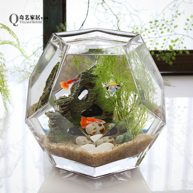 Qiyi Home Creative Desktop glass fish tank Goldfish tank large tropical ...