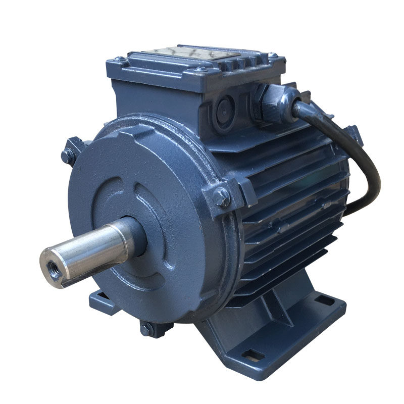 Negative Pressure Fan Special Motor Industrial Breeding Factory ...