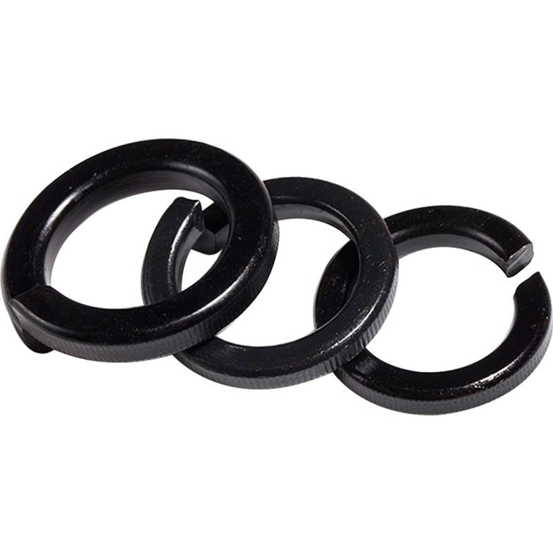 Black Stainless Steel Spring Washer - Meson Gasket Variety Pack