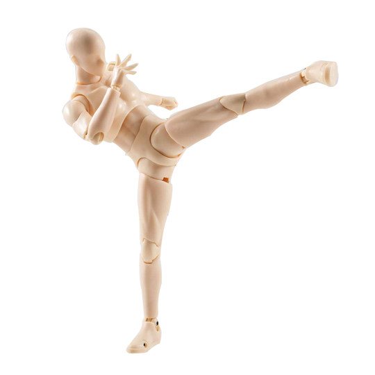 SHF Whole Body Joint Movable Male Female Anime Manga Human Model ...