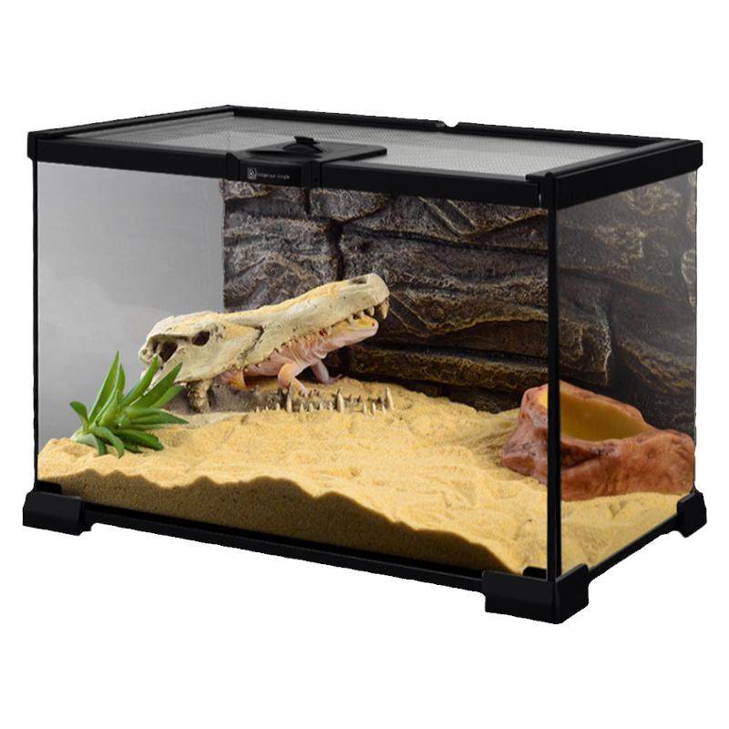 Maned Lion Lizard Breeding Box - Crawling Horned Frog, Gecko ...
