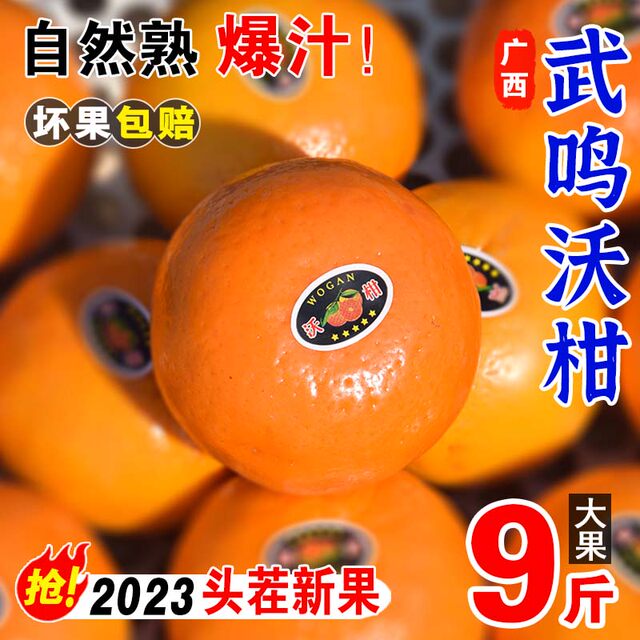 Authentic Guangxi Wuming Wogan 9Jin [Jin is equal to 0.5kg] fresh large ...