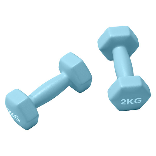 Dumbbell Ladies Fitness Home - Hexagonal Pure Iron 3 kg Small Barbell ...