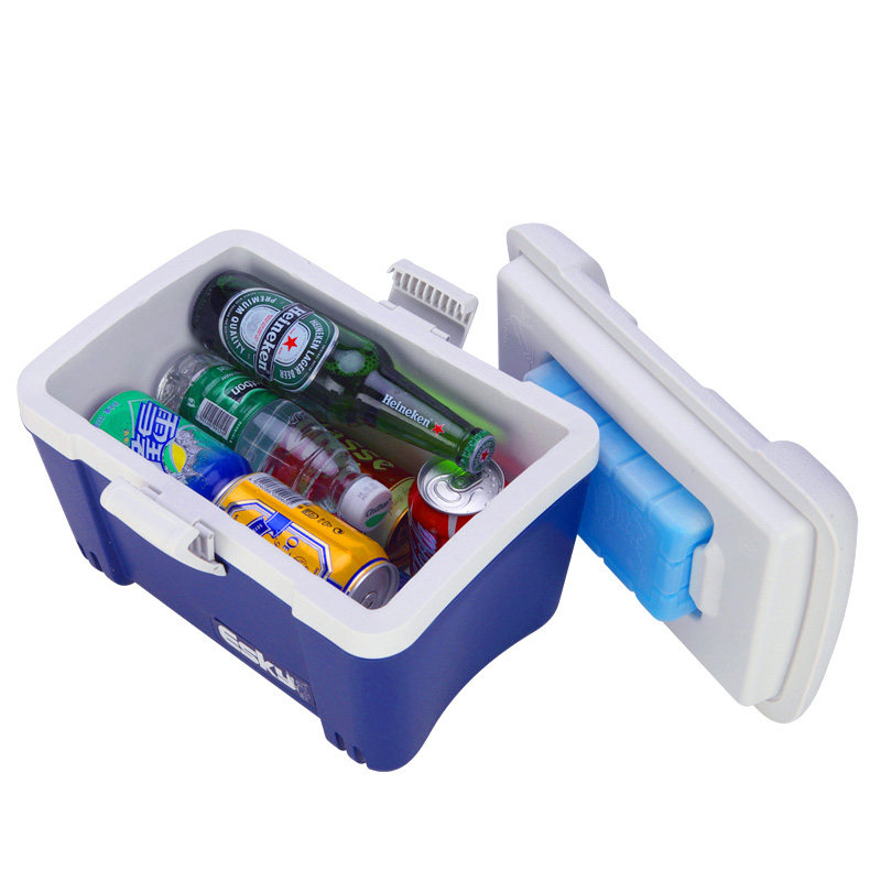 Esky Insulated Box Refrigerator Outdoor Mini Portable Car-Mounted ...
