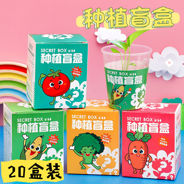 Plant potting blind box Students Children's Smash Ceremony Kindergarten ...