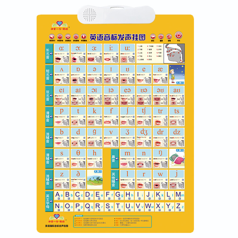 Primary School Students English Phonetic Symbols Wall Chart - Learning ...