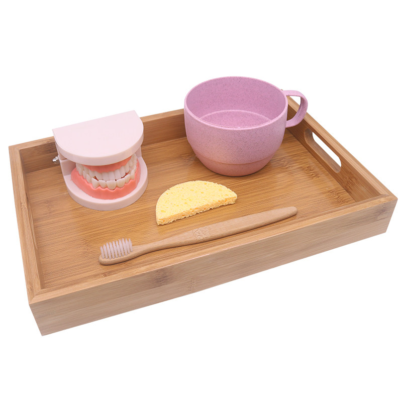 Montessori Teaching Set for 2-Year-Olds - Teeth Brushing Educational Toy