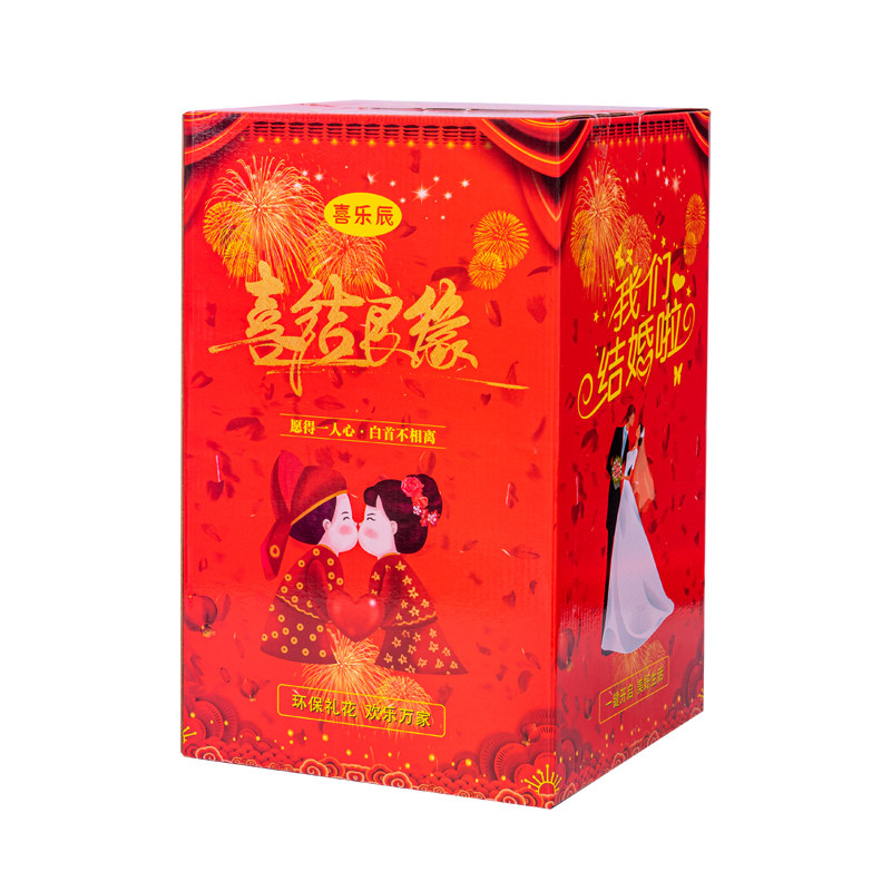 Electronic Wedding Firework Salute Color Cannon for Celebrations and Events