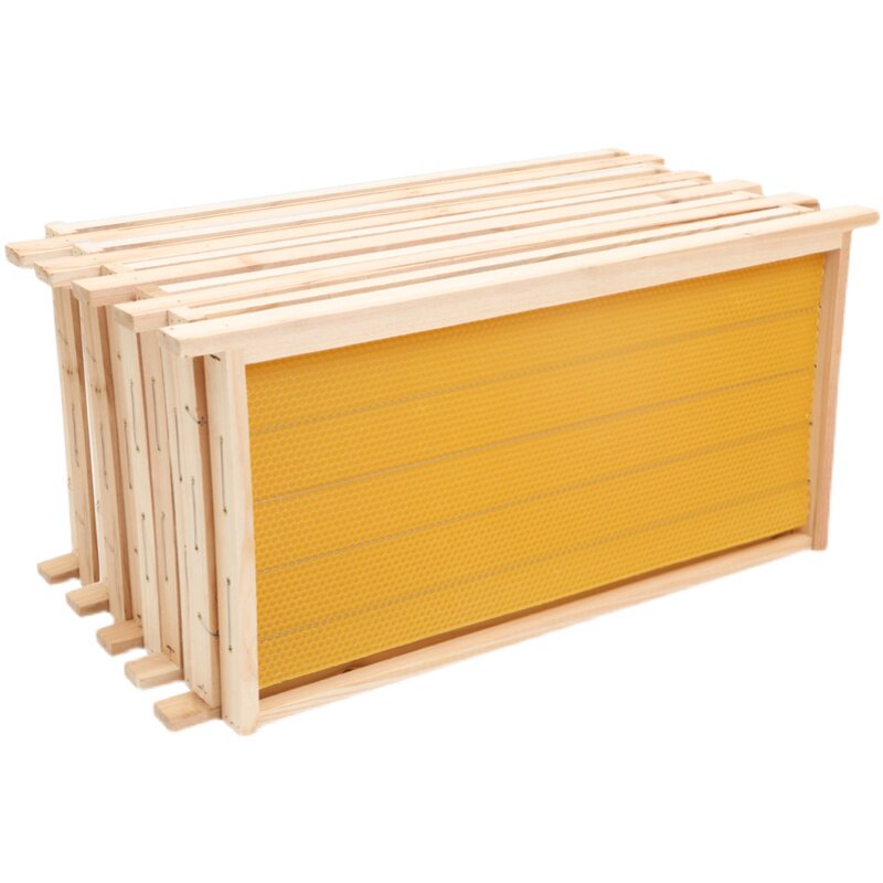 Genuine Eight Thousand Bee Hive Frame with Honey Bee Hive Base