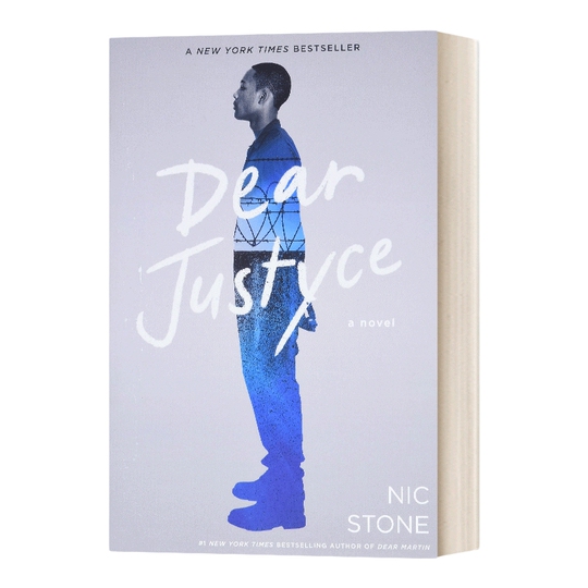 English Original Novel Dear Justyce Dear Martin Sequel English Version ...