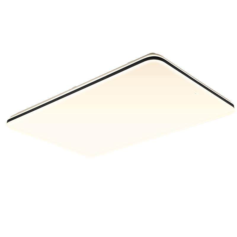Bull Sparkling Starry Living Room Ceiling Light - 2023 New LED Main Light