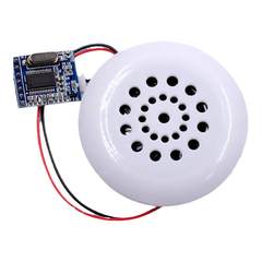 Audio/Amplifier Module