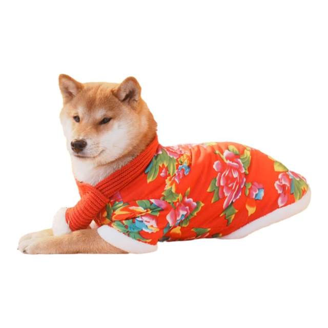 Autumn and winter New Year clothes for pet dogs, Shiba Inu Golden ...