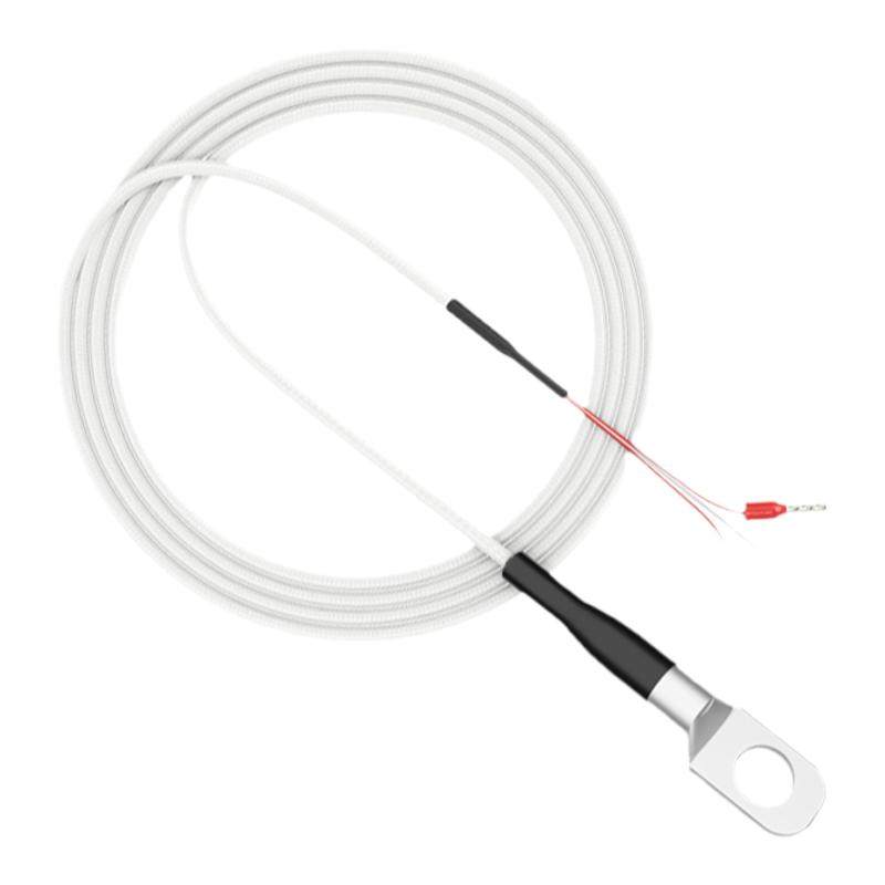 Weipinle WZP-PT100 Temperaturføler med rundt hul PT1000 - Platin ...