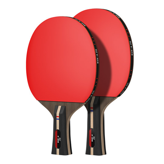 361 Table Tennis Racket - High Elastic Professional Grade Racket for ...