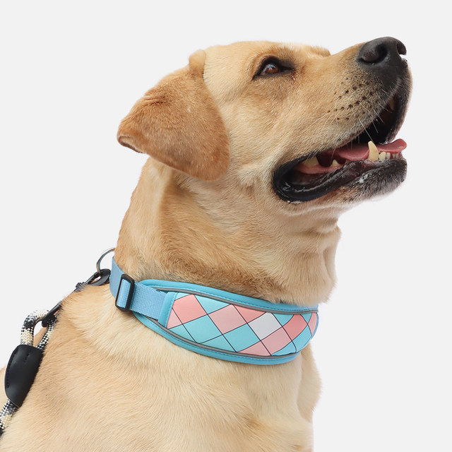 Large dog Labrado golden capsule explosion dog neck rope Shiba Inu ...