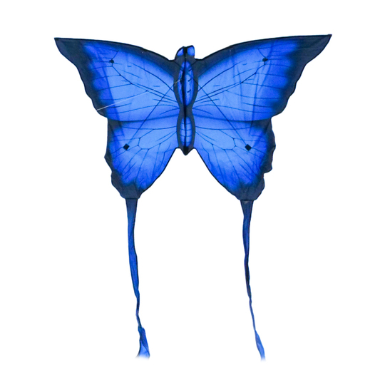 Hualing Butterfly Kite - Large Easy-Fly Kite for Kids & Adults