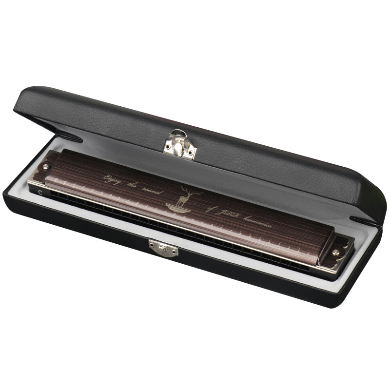 Armónica Polifónica Jdr de 24 Agujeros - Modelo S4