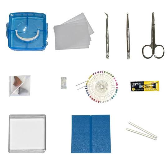 Butterfly Specimen Insect Production Materials Wing Plate Specimen Box ...