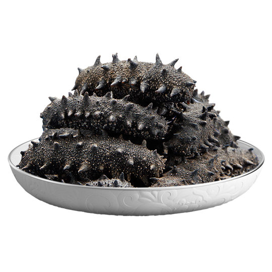 Dalian Light Dried Sea Cucumber - 100g Gift Box