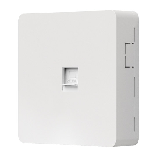 International Electrician 86 Type Surface-Mounted Network Port Panel ...