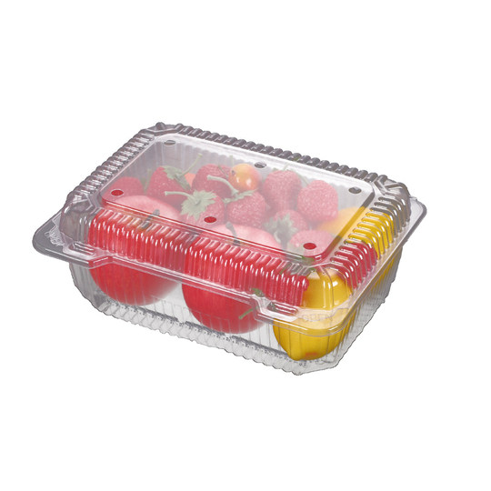 Disposable Fruit Box with Cover | Transparent Plastic Packaging for ...