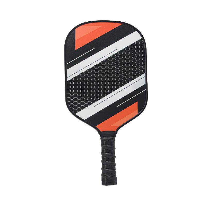 Pickleball Racket Set - Professional Carbon Fiber and Glass Fiber ...