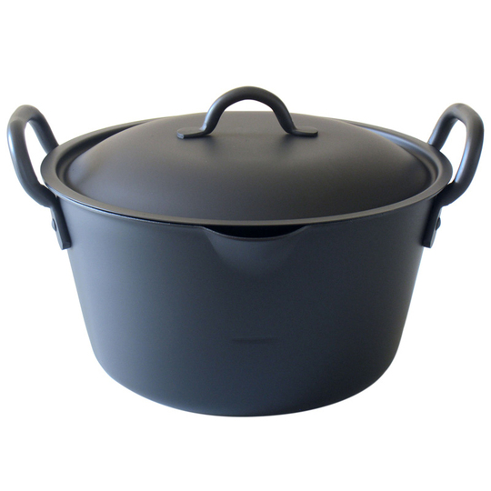 Pearl Life Japan Tempura Fryer - Gas & Induction Cooker - Covered - 2 ...
