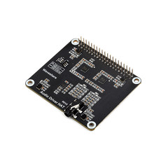 Audio/Amplifier Module