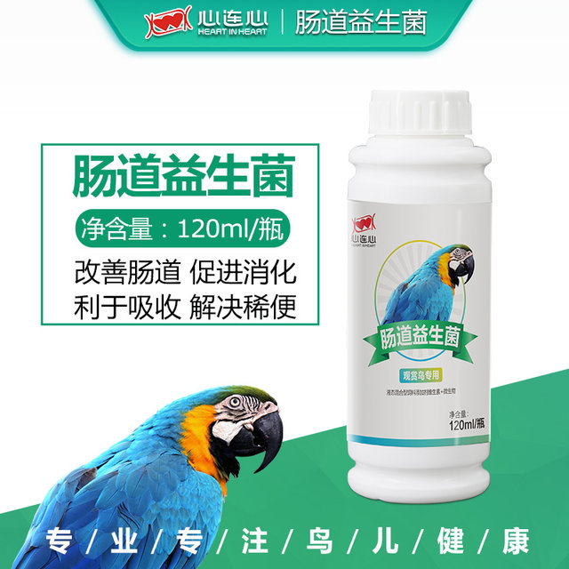 Heart -hearted parrot pills with probiotics accumulated food and ...