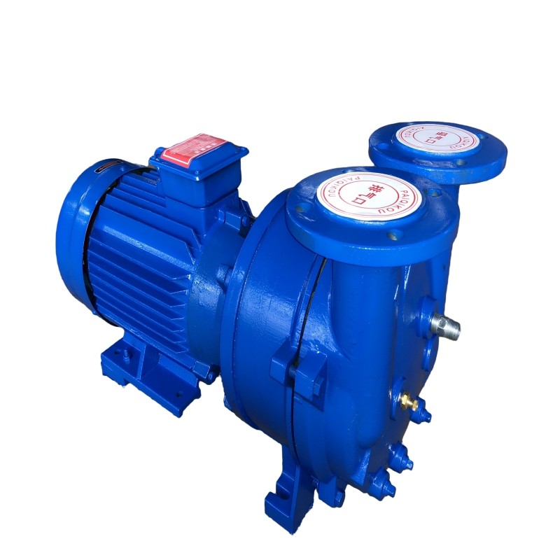 2BV Water Ring Vacuum Pump for High Flow and Power Industrial Air Pumping