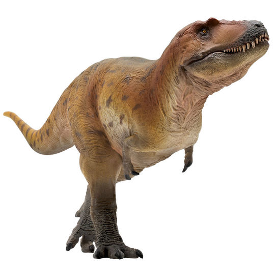 Pnso blood king dragon cairnsi dinosauruste kasvu mudel