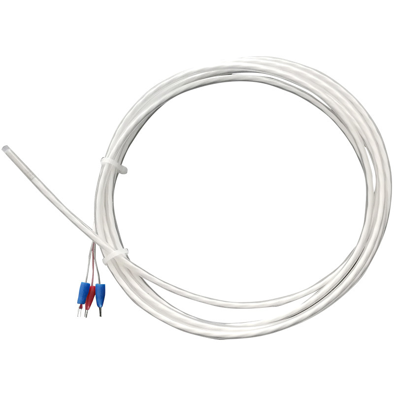Corrosion-Resistant Temperature Sensor PT100 Teflon Four-Pole ...