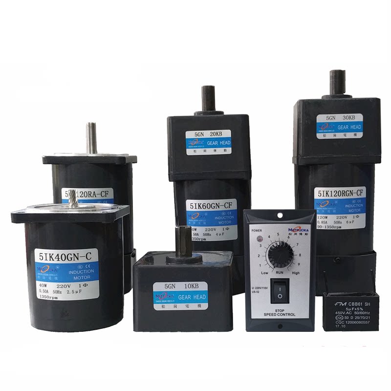 Speed Control Motor 6-250W AC Motor 220V