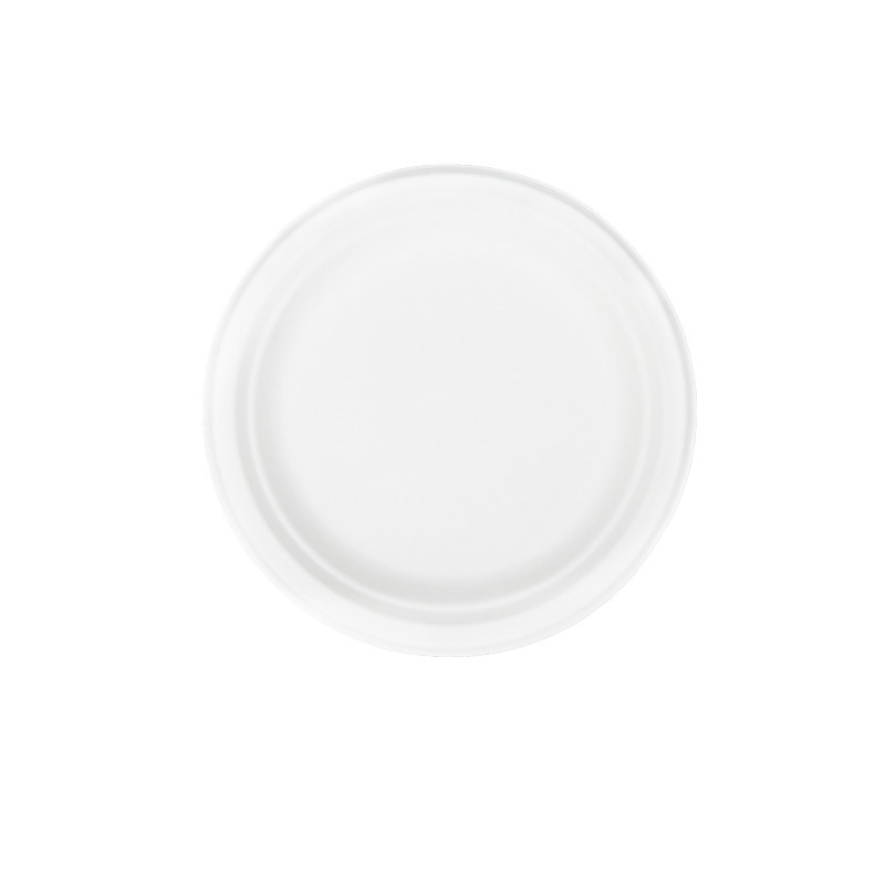 Disposable Paper Plate: Kindergarten Handmade DIY Painting Cake ...