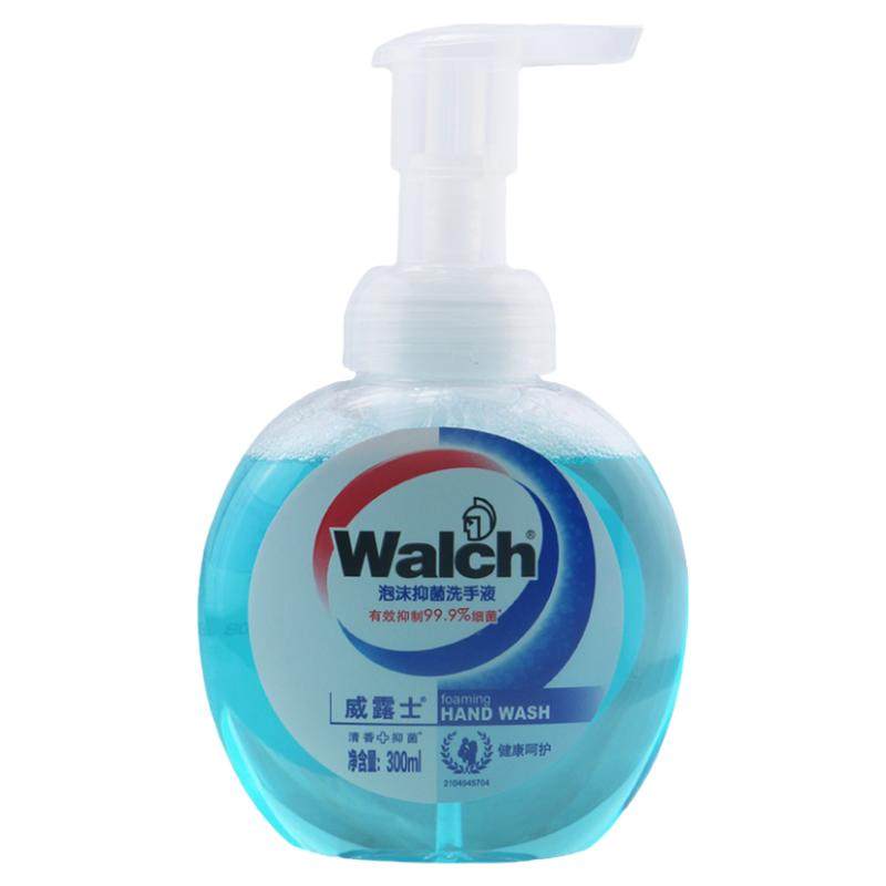 Walsh Foam Antibacterial Hand Sanitizer - Portable Family Pack 300ml*24 ...