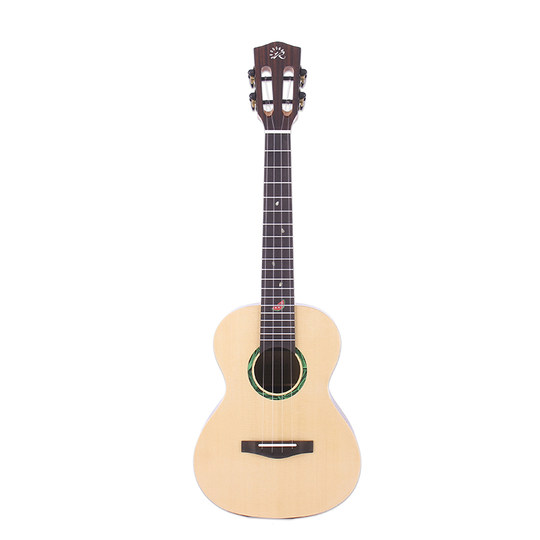 AAC Ukulele Watermelon 23-Inch Single-Sided Ukulele - Single-Board ...