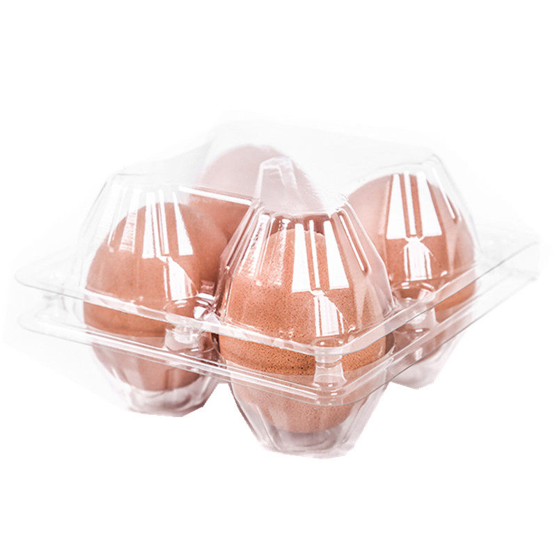 Disposable Egg Packaging Box Transparent Earth Egg Box 4 Pieces Plastic ...
