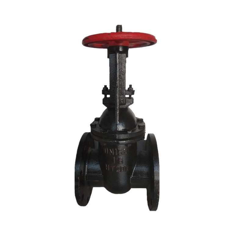 Z41T Cast Iron Gate Valve - Flange Connection, Copper Core