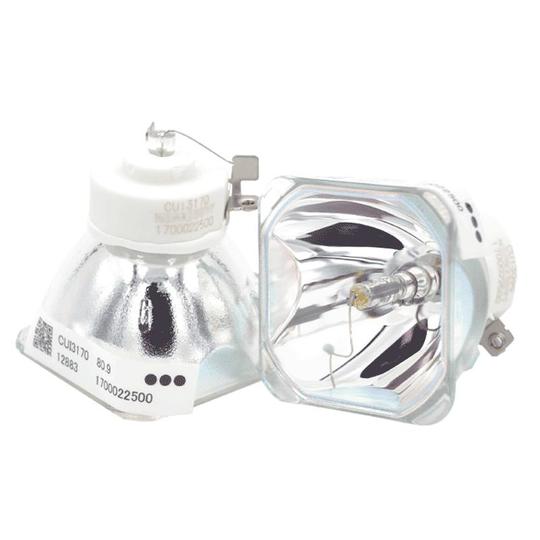 Lampe de projecteur NEC NP-M260XS+ M300XC NP500+ NP530 - 230W de ...