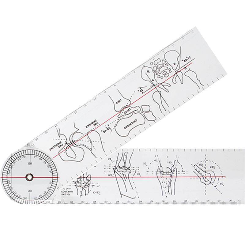 Regla de medición del ángulo de la articulación cubital ortopédica para ...