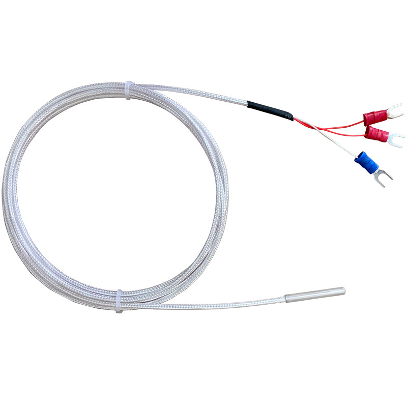 Pt100 Temperature Sensor PT100 Thermal Resistance PT1000 Probe ...