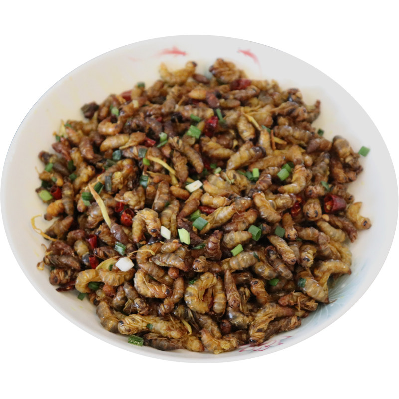 Mellow Honey Mengshan Bee Pupa - 500g Yunnan Fresh Hornet & Yellow Hornet