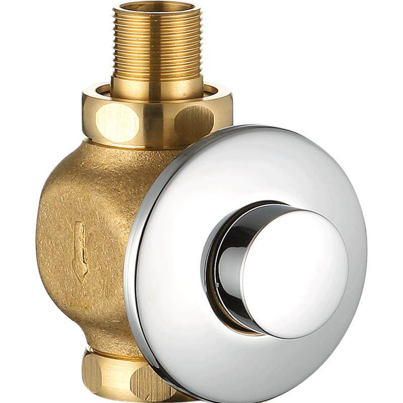 Stool Flush Valve Hand Press Flush Valve Squat Toilet Toilet Flush ...